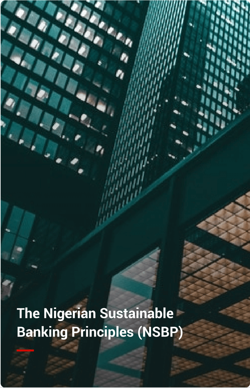 African and International Financial Institutions | UBA UK